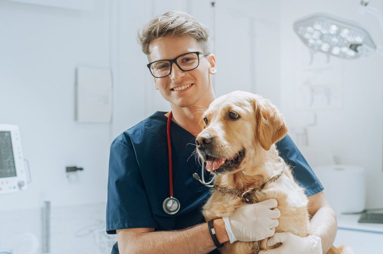 Novel Adhesive Surgical Haemostat for Vets | TenaTac